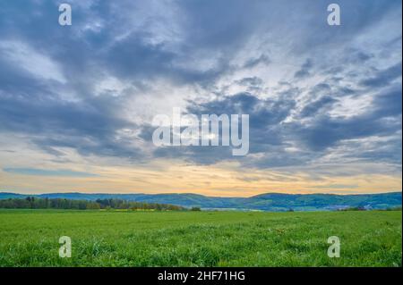 Grain field at sunrise in spring, Miltenberg, Miltenberg District ...