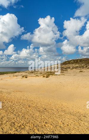 Morsum-Kliff Natural reserve on the island Sylt. Morsum Cliff has been ...