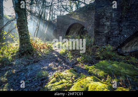 Shafts of sunlight, Henllan bridge, River Teifi, Wales Stock Photo - Alamy
