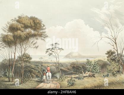 George French Angas ( 1822 - 1886 ) Portrait of Maori leader 1847 Stock ...