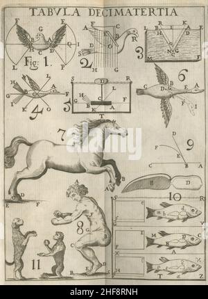 Giovanni Alfonso Borelli De Motu Animalium 1680 Stock Photo - Alamy