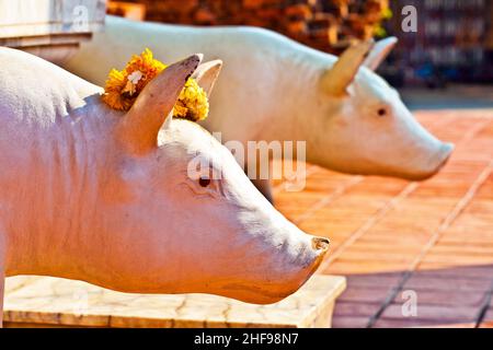 The row of sitting statues of Lord Buddha on Beira Lake in Seema Malaka ...