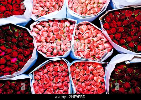 roses offered at the night flower market in Bangkok Stock Photo - Alamy