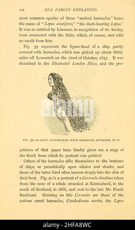 Sea fables explained Stock Photo - Alamy