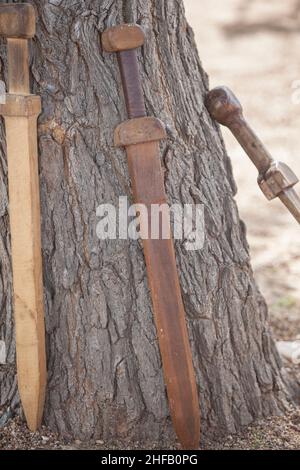 Roman soldier Centurion historical military re-enactment Legio II ...