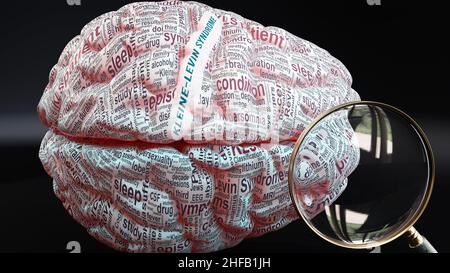 Kleine levin syndrome anatomy - its causes and effects projected on a ...