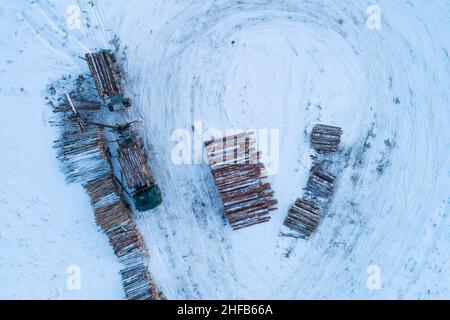 Loading wood truck next to pile of timber and in front of a forest in ...
