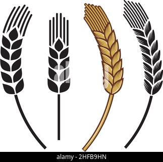 Wheat natural food icon vector illustration graphic design Stock Vector ...