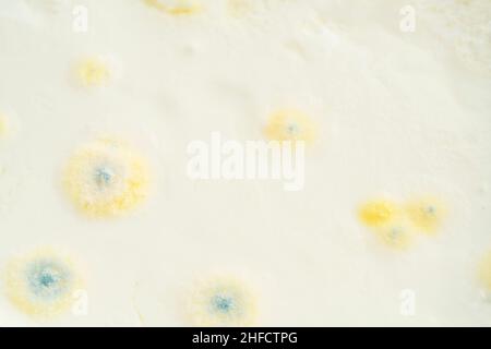 moldy yogurt, growth of mold on yogurt or dairy product food surface ...