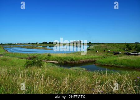 RSPB Freiston Shore nature reserve, The Wash, Lincolnshire, England ...