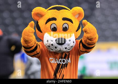 Rory the Tiger Hull City’s mascot give the thumbs up Stock Photo - Alamy