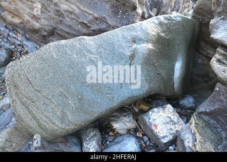 Green dolerite erratic carried on Irish Sea Glacier from Preseli to ...