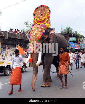 Traditional elephant festival ( ULSAVAM ) in Kerala INDIA Stock Photo ...