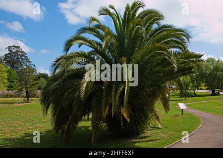 Public park in Orbost in Australia Stock Photo - Alamy