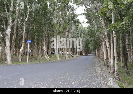 Alexandra Falls View Point Stock Photo - Alamy