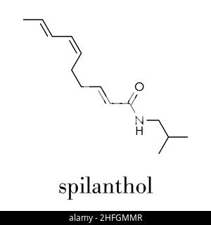 Spilanthol molecule. Local anesthetic present in Acmella oleracea ...