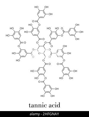 Tannic acid, tannin molecule. It type of polyphenol. Structural ...
