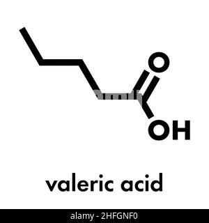 Valeric acid, pentanoic acid or valerate molecule. Structural chemical ...