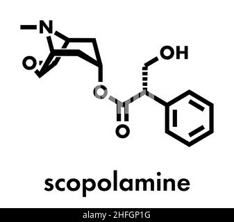 Scopolamine (hyoscine) anticholinergic drug molecule. Used in treatment ...