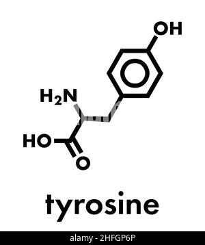 Tyrosine - Tyr - Y Amino Acid molecular formula and chemical structure ...