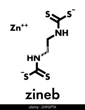 Zineb zinc organosulfur fungicide molecule. Skeletal formula Stock ...