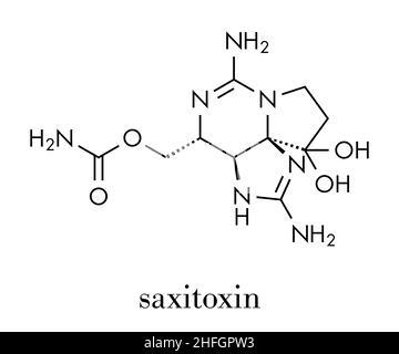 Saxitoxin (STX) paralytic shellﬁsh toxin (PST), chemical structure ...
