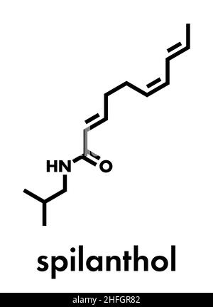 Spilanthol molecule. Local anesthetic present in Acmella oleracea ...