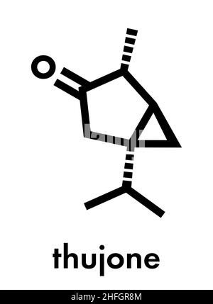 Thujone absinthe molecule, chemical structure. Skeletal formula Stock ...