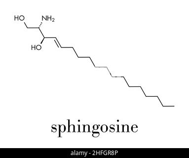 Sphingosine lipid molecule. Skeletal formula Stock Vector Image & Art ...