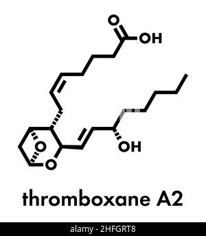 A Chemical formula structure of Thromboxane A2 on white background ...