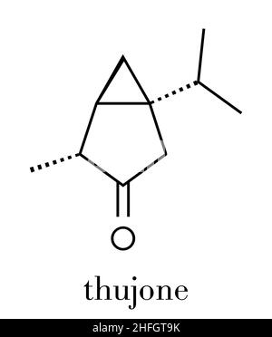 Thujone absinthe molecule, chemical structure. Skeletal formula Stock ...