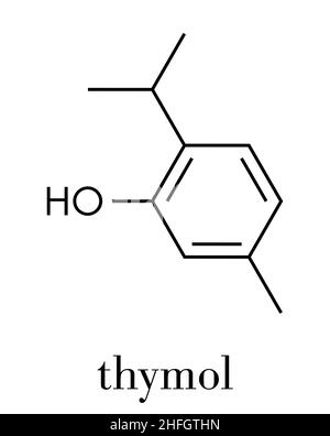 Skeletal formula of Thymol. Chemical molecule Stock Vector Image & Art ...