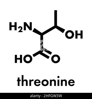 Threonine (l-threonine, Thr, T) amino acid molecule. Stylized skeletal ...