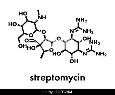Streptomycin tuberculosis antibiotic (aminoglycoside class) molecule ...