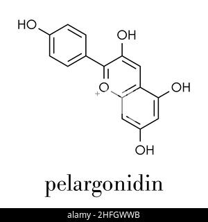 Pelargonidin pigment molecule. Skeletal formula Stock Vector Image ...