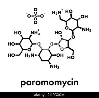 Paromomycin aminoglycoside antibiotic drug molecule. Skeletal formula ...