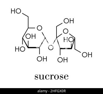 Skeletal formula of Sucrose. chemical molecule Stock Vector Image & Art ...