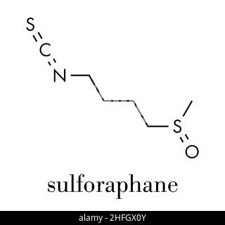 Sulforaphane cruciferous vegetable molecule. Skeletal formula Stock ...