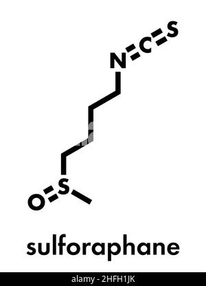 Sulforaphane cruciferous vegetable molecule. Skeletal formula Stock ...