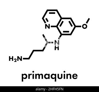 Primaquine malaria drug molecule. Skeletal formula Stock Vector Image ...