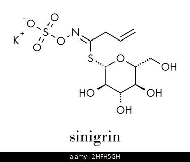 Sinigrin glucosinolate molecule. Present in some cruciferous vegetables ...