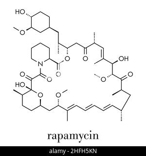 Rapamycin (sirolimus) immunosuppressive drug molecule. Used to prevent ...
