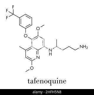 Tafenoquine malaria drug molecule. Skeletal formula Stock Vector Image ...