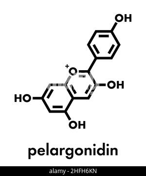 Pelargonidin pigment molecule. Skeletal formula Stock Vector Image ...