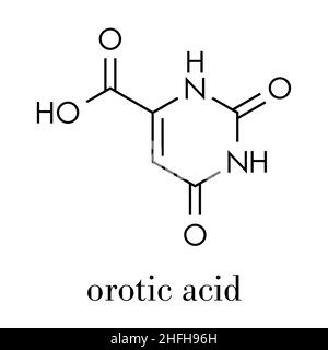 Vitamin B13 Orotic acid molecular structure. Vitamin B13 Orotic acid ...
