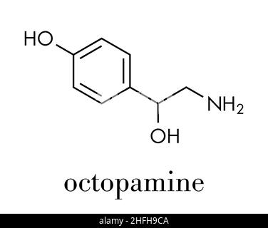 Octopamine stimulant drug molecule (sympathomimetic agent). Skeletal ...