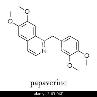 Papaverine molecule. It is opium alkaloid antispasmodic drug ...