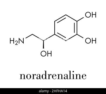 Noradrenaline molecular structure. Noradrenaline, or Norepinephrine, is ...