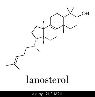 Lanosterol molecule. Investigated for treatment of cataract. Stylized ...