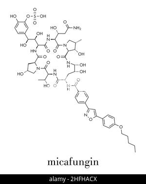 Micafungin antifungal drug molecule. Skeletal formula Stock Vector ...